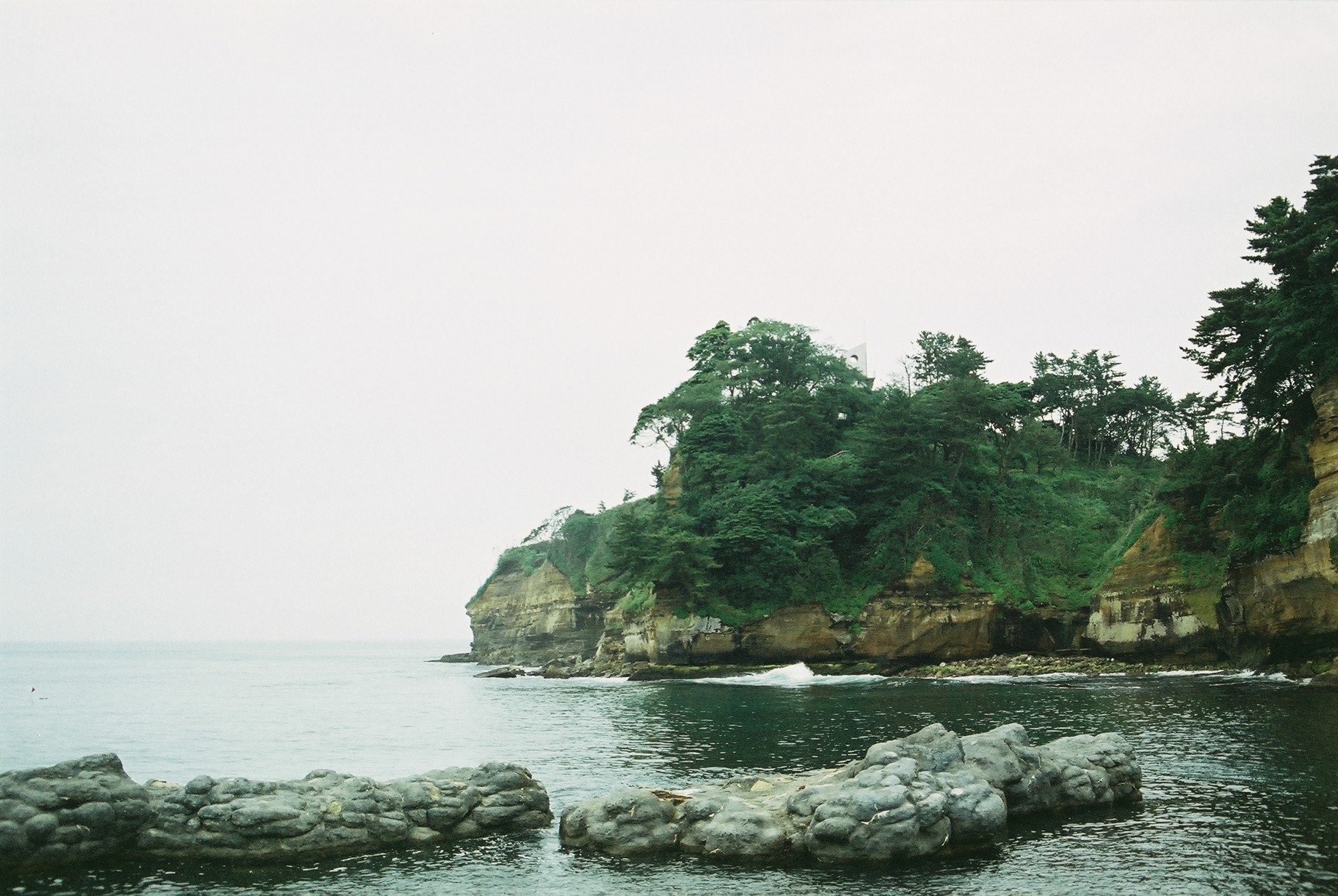 一眼レフフィルムカメラの楽しみ方：Nikon FM10 - 日々得たライフハックから共有したいkoto